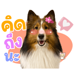 Daisy Diary_20230423160933 – LINE stickers | LINE STORE
