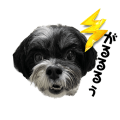 ono_20230424200639 – LINE stickers | LINE STORE