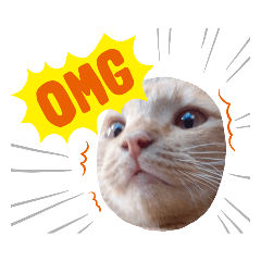 Deaun_20230425183731 – LINE stickers | LINE STORE