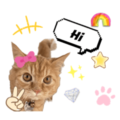 Ingfa cat and Friends – LINE stickers | LINE STORE