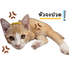 Pia_20230426071540 – LINE stickers | LINE STORE