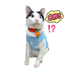 N' Oliang – LINE stickers | LINE STORE