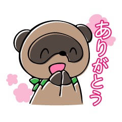 Stomach pompoko raccoon pokorin - Stiker LINE | LINE STORE