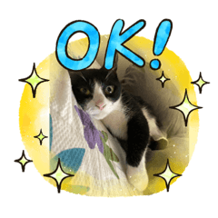 yamada taro_20230502083551 – Stickers LINE | LINE STORE