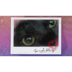 MEGUMI MASAKO_20230503083906 – Stickers LINE | LINE STORE