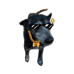 Ai_dum limited! – LINE stickers | LINE STORE