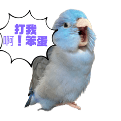 Stanley Liao_20230505172920 – LINE stickers | LINE STORE