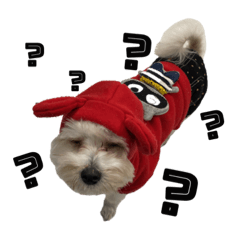 OOO-_20230507212449 – LINE stickers | LINE STORE