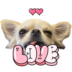 kanyan_20230514235230 – LINE stickers | LINE STORE