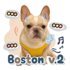 baby Boston v.2 - Stiker LINE | LINE STORE