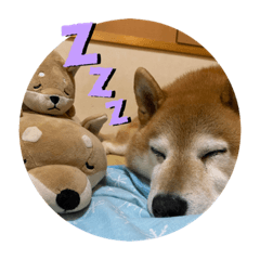 malu_20230515094822 – LINE stickers | LINE STORE