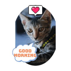 MOJI MOJI_20230516224205 – LINE stickers | LINE STORE