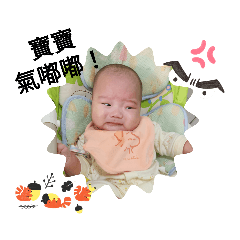 macey_20230518113851 – LINE stickers | LINE STORE