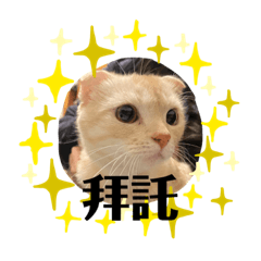 Qoo_20230519125650 – LINE stickers | LINE STORE