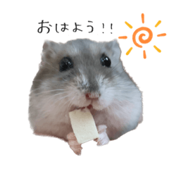 *HIKARI*_20230519112124 – LINE stickers | LINE STORE