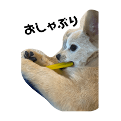 harutaro_20230520234837 - Stiker LINE | LINE STORE