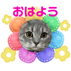 noni_20230521152951 - Stiker LINE | LINE STORE