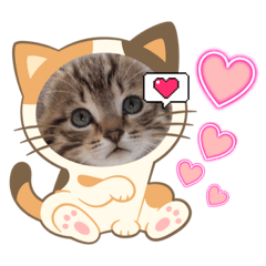 Fluke_20230525220534 – LINE stickers | LINE STORE