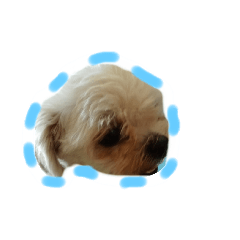 บิทตี้น้อย – สติกเกอร์ LINE | LINE STORE