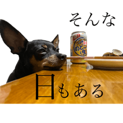 Doppo - LINE スタンプ | LINE STORE