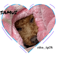 rito__tp - LINE スタンプ | LINE STORE