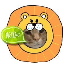 Balooza_20230531173516 – LINE stickers | LINE STORE