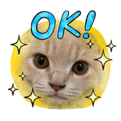 Kris_20230601090832 – LINE stickers | LINE STORE