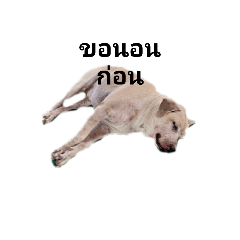 Dog TUN. – LINE stickers | LINE STORE