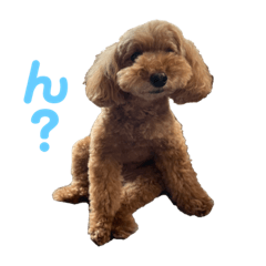 under___world_____20230602233205 – LINE stickers | LINE STORE