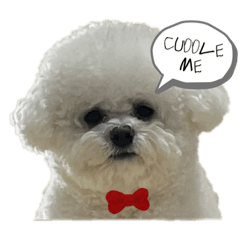 COOKIE can also talk. – LINE stickers | LINE STORE