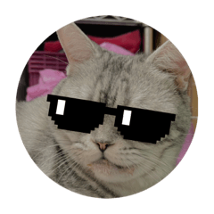 shing_20230604194331 – LINE stickers | LINE STORE