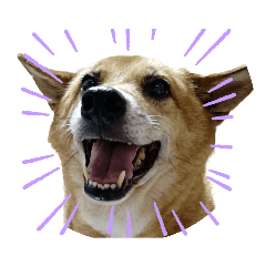 suuuuuu_20230605233254 - Stiker LINE | LINE STORE