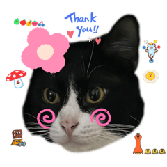 nongaom naka_20230610210307 – LINE stickers | LINE STORE
