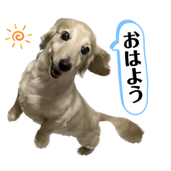 firio's stanp - Stiker LINE | LINE STORE