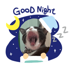 PeggyBucky_20230611172708 – LINE stickers | LINE STORE