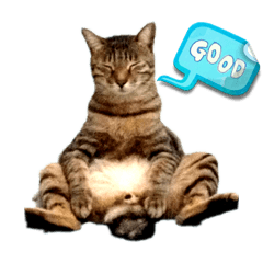 Yu-fang Chuang_20230612051320 – LINE stickers | LINE STORE