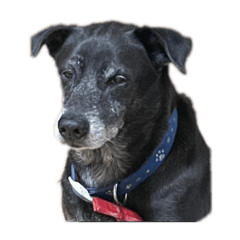 BBBHHH_20230614193249 – LINE stickers | LINE STORE