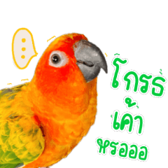 Sun jom puan ma laew krab – LINE stickers | LINE STORE