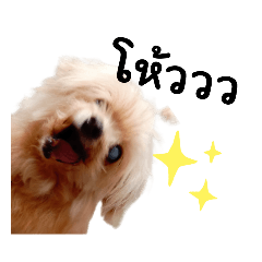 Namoon have darkside #1 – LINE stickers | LINE STORE