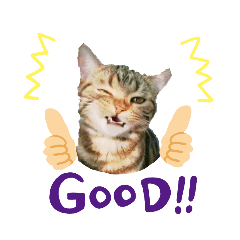 rangsanan0222@gmail.com_20230615165449 – LINE stickers | LINE STORE