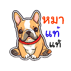 CHEESE - dog dog story – LINE stickers | LINE STORE