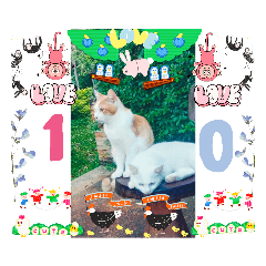 MORIO_20230616214158 - LINE スタンプ | LINE STORE