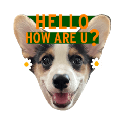 Mangkoog good woof – LINE stickers | LINE STORE