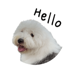 wxh_20230620220841 - Stiker LINE | LINE STORE