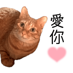 Fatty Mino – LINE stickers | LINE STORE