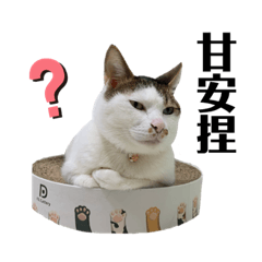 Tanya_20230622003259 – LINE stickers | LINE STORE