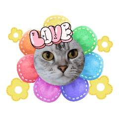 Rukanda_20230625125008 - LINE スタンプ | LINE STORE