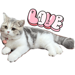 kittisak_20230626170528 – LINE stickers | LINE STORE