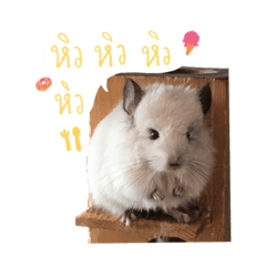 Im Sunshine, but Sunchui hehe – LINE stickers | LINE STORE