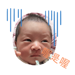 Eggshell_20230628191918 - Stiker LINE | LINE STORE